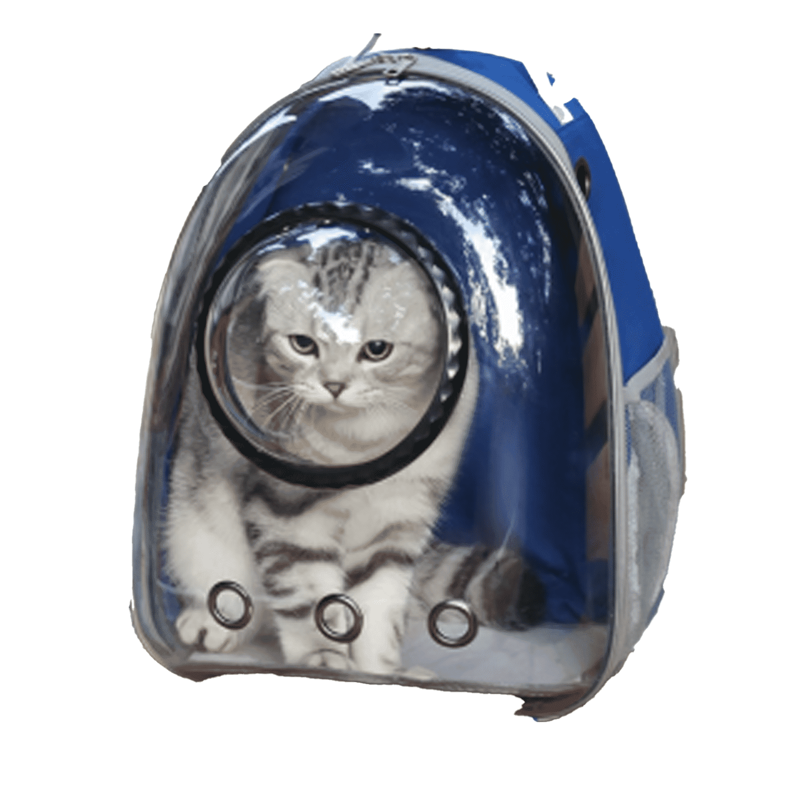 BESTSKY Cat Carrier,Transparent Capsule Cat Backpack,Efficient ...