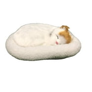 BESTSKY Cat Stuffed Animal,Soft Texture Stuffed Animal Cat,Playful Cat ...