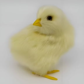 Baby Chicken Toys