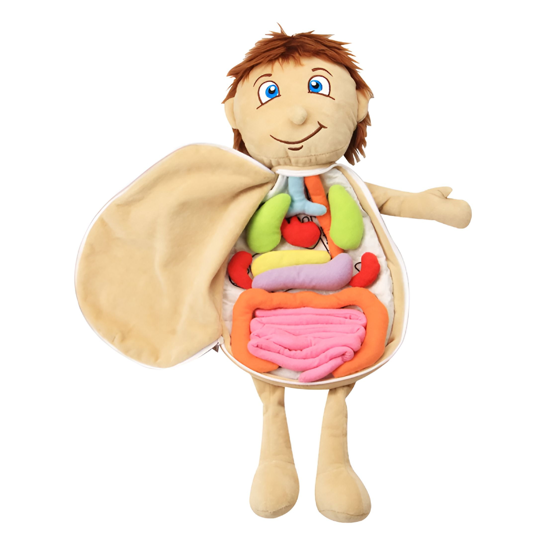 BESTSKY Detachable Human Body 3D Organ Toy for Ages 3+ Anatomy Models ...