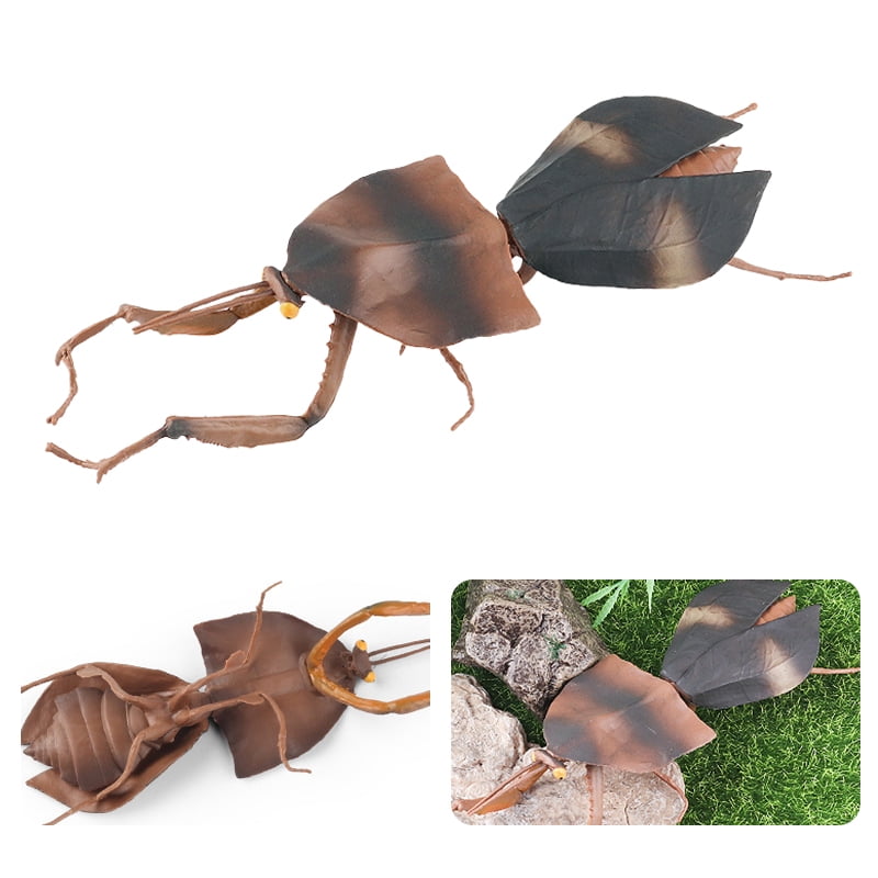 BESTSKY Fake Bugs,Dark Brown Dead Leaf Mantis Bug Toys,Professional ...