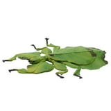 BESTSKY Fake Bugs,Giant Leaf Insect Plastic Bugs,Leaf Shape Mimicry Bug ...