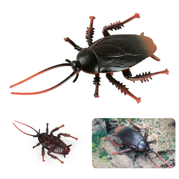 BESTSKY Fake Bugs,Male Cockroach Ornament Plastic Bugs,Glossy Brown ...