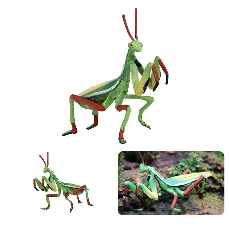 BESTSKY Fake Bugs,Mantis Halloween Prank Kit,Teaching Tool Plastic ...