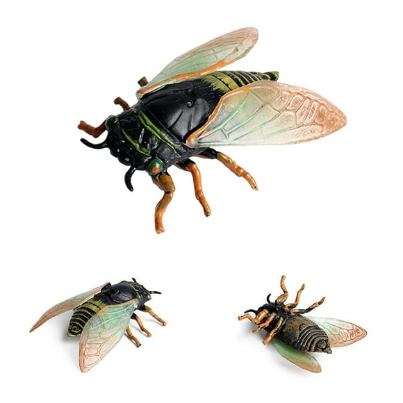 Plastic Toy Bugs