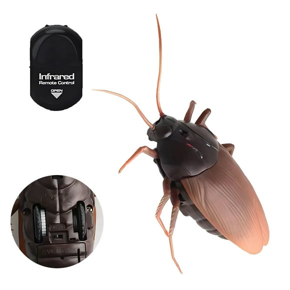 Cockroach Toy