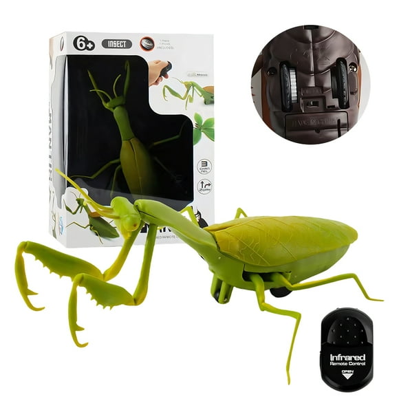 Toy Insects Collection Featuring Bugs Spiders and Butterflies for Kids