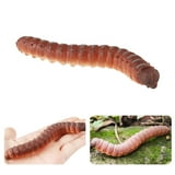BESTSKY Fake Bugs,Simulated Caterpillar Bug Toys,Firm Model Prank Kit ...