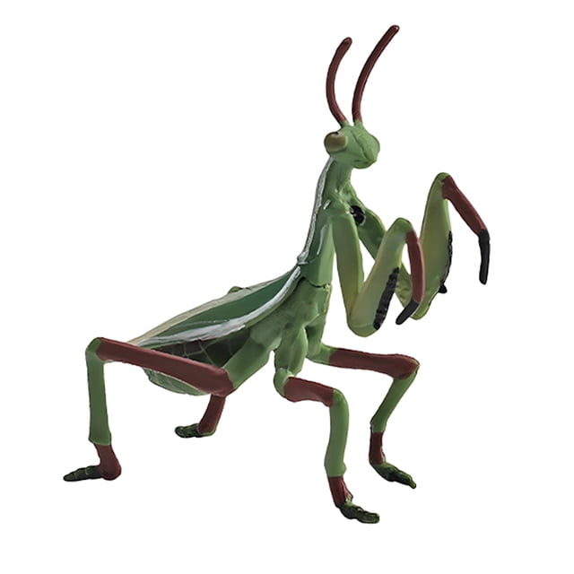 BESTSKY Fake Bugs,Simulated Praying Mantis Bug Toys,Environment Decor ...