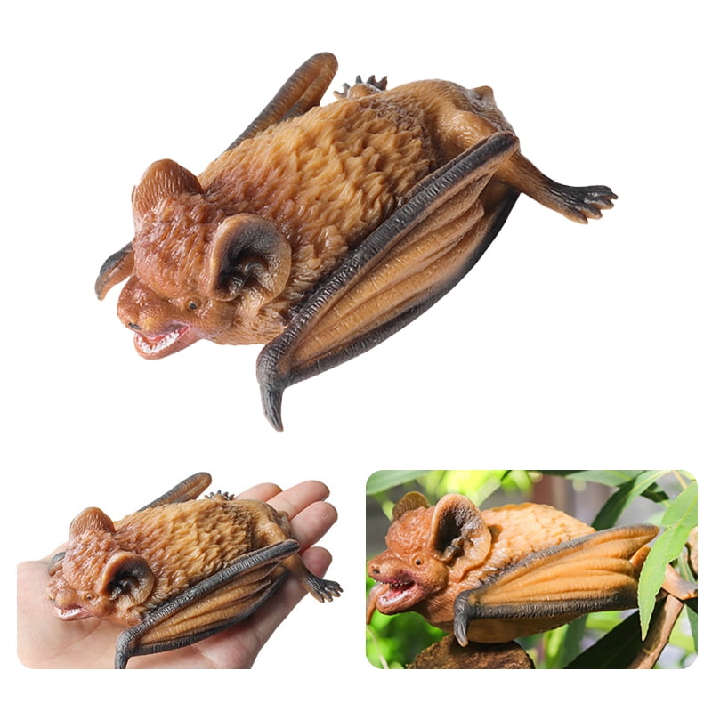 BESTSKY Fake Bugs,Soft Plastic Bat Toy Animals,Scientific Display ...