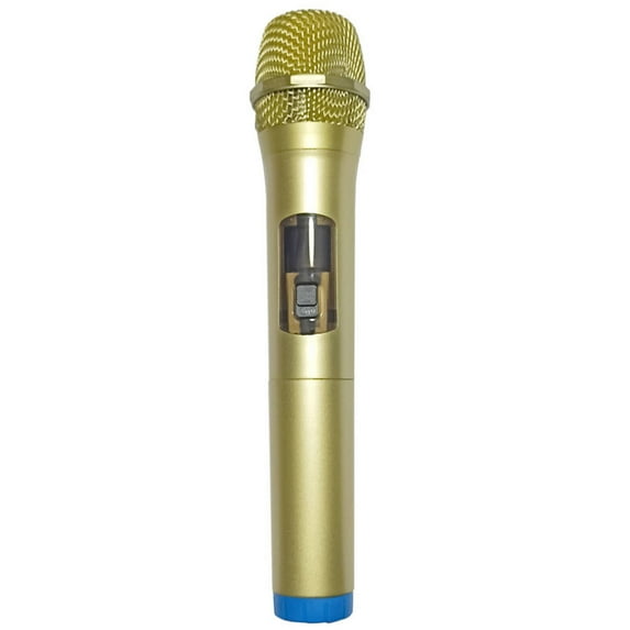 BESTSKY Microphone for Kids,Reporter Interview Kids Microphone ...