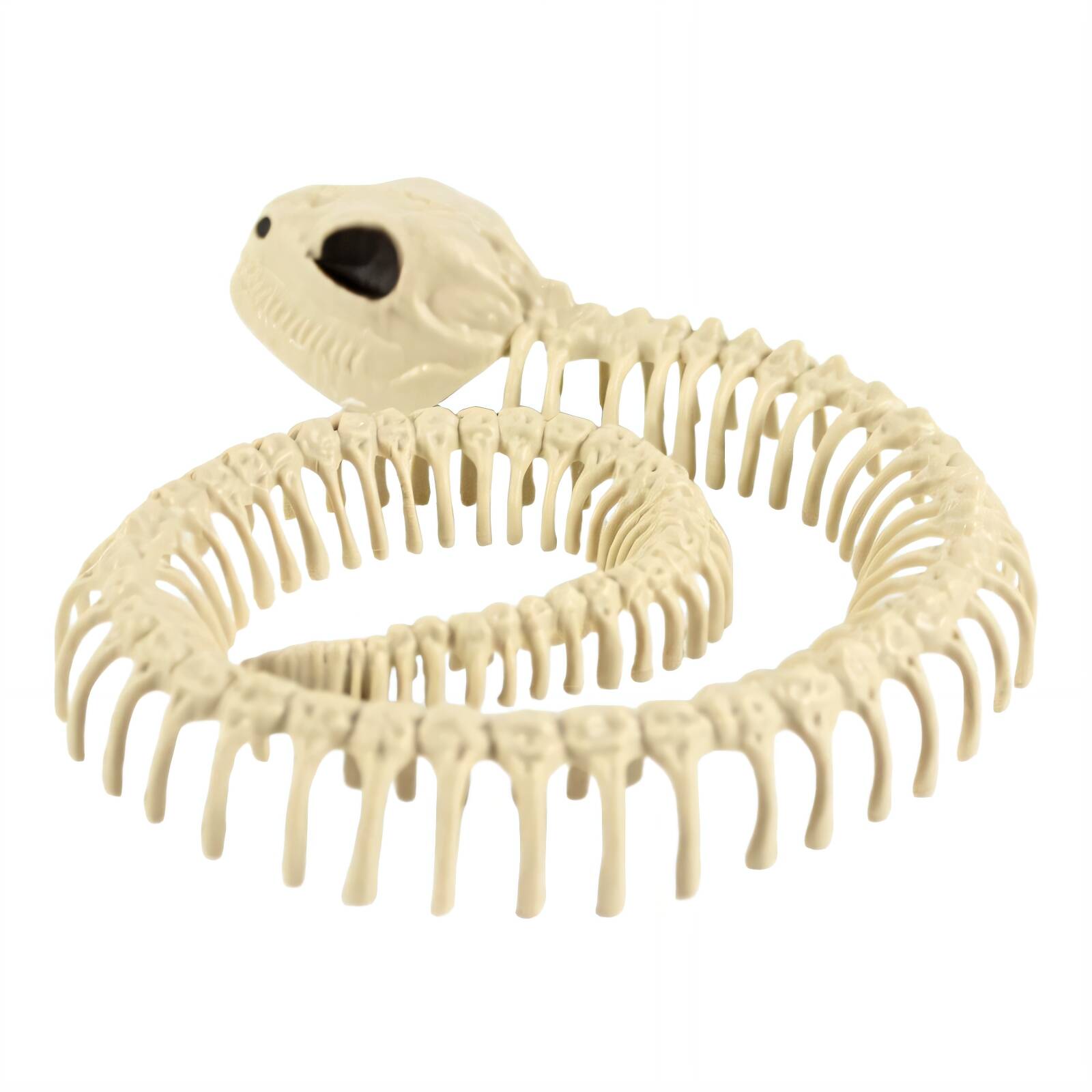 BESTSKY Plastic Animal Skull Skeleton,Unique&Creepy Design Skull ...