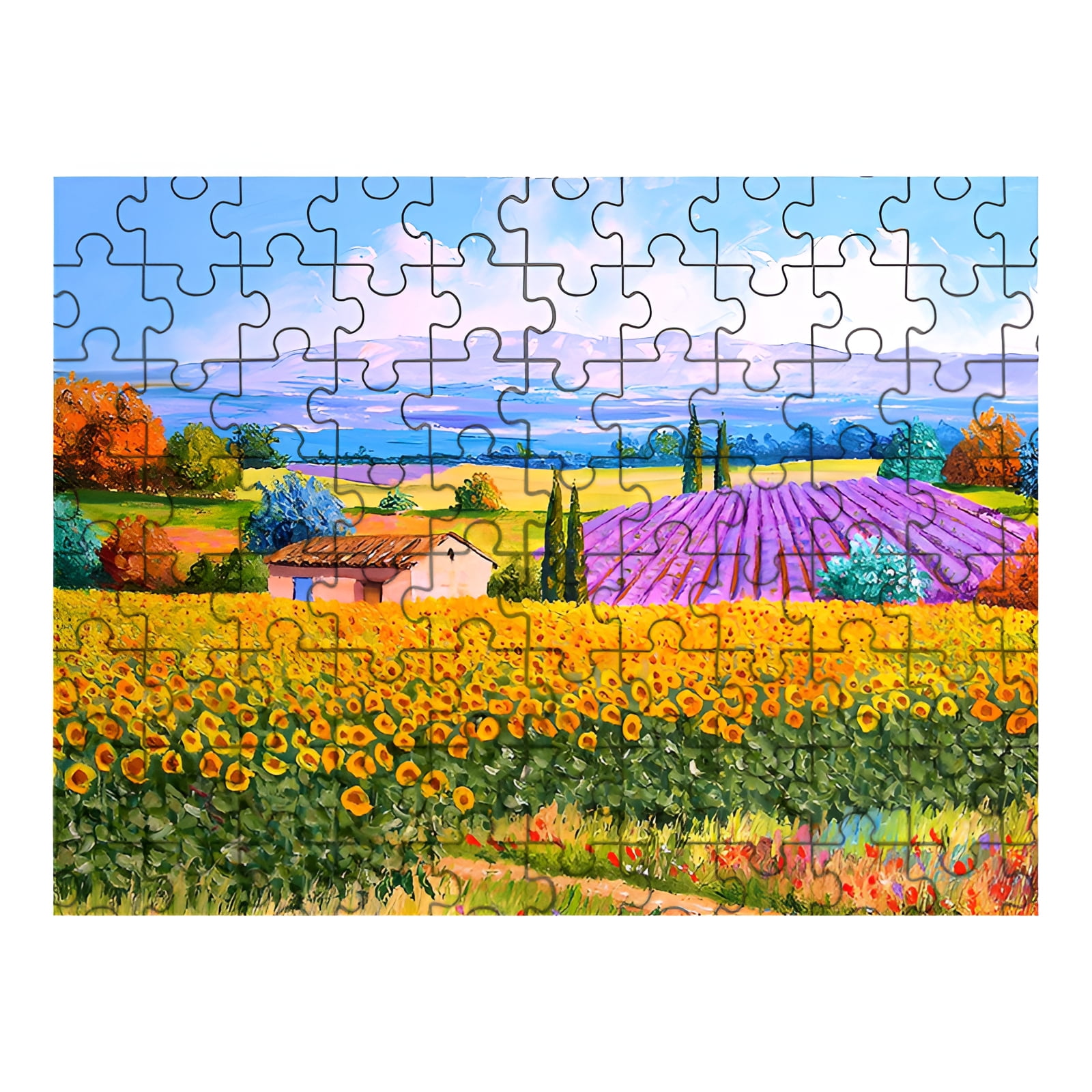 BESTSKY Puzzles for Adults 1000 Pieces,Challenging Puzzle Set Puzzle ...