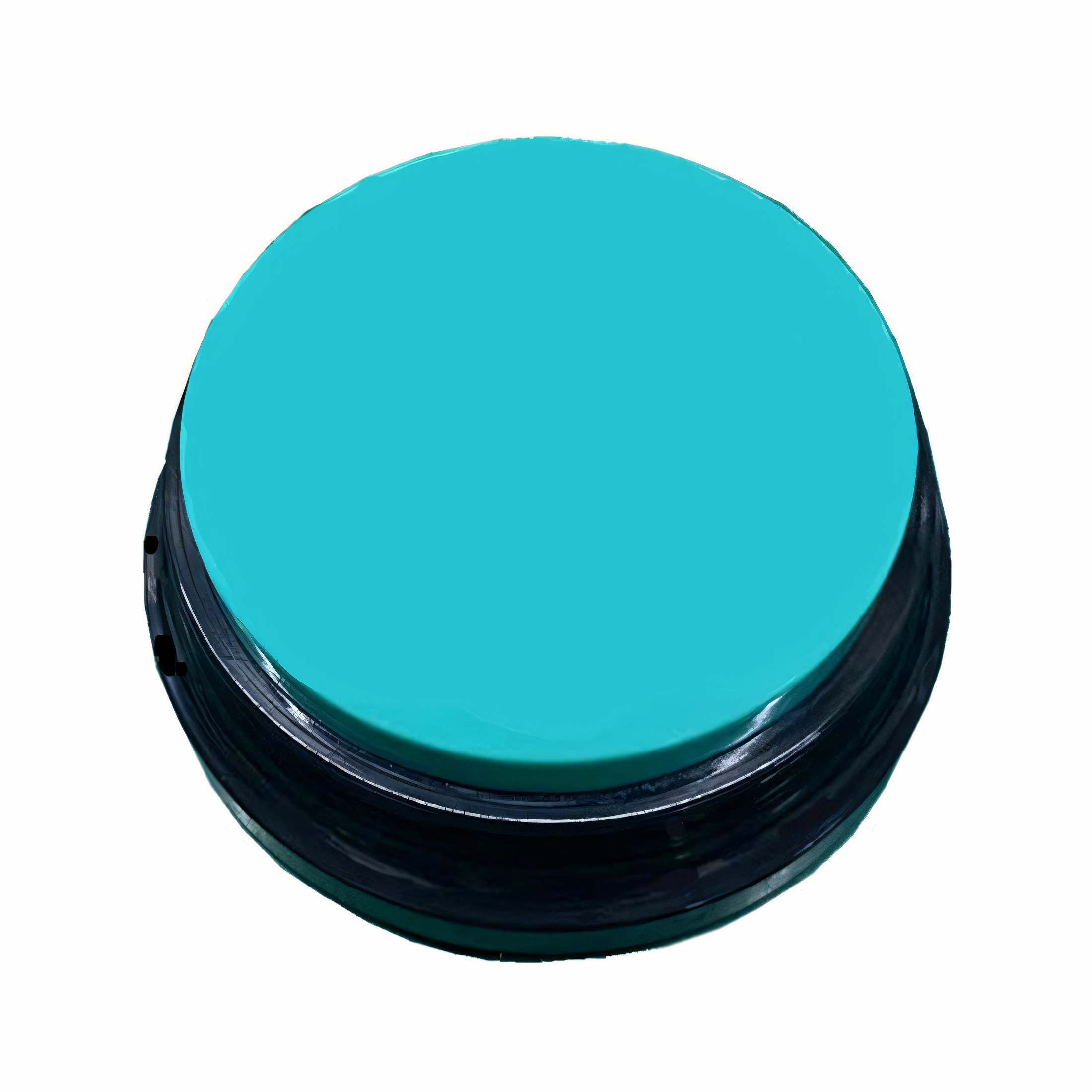 BESTSKY Recordable Button,Intelligence Dog Buttons,Suitable Dog Talking ...