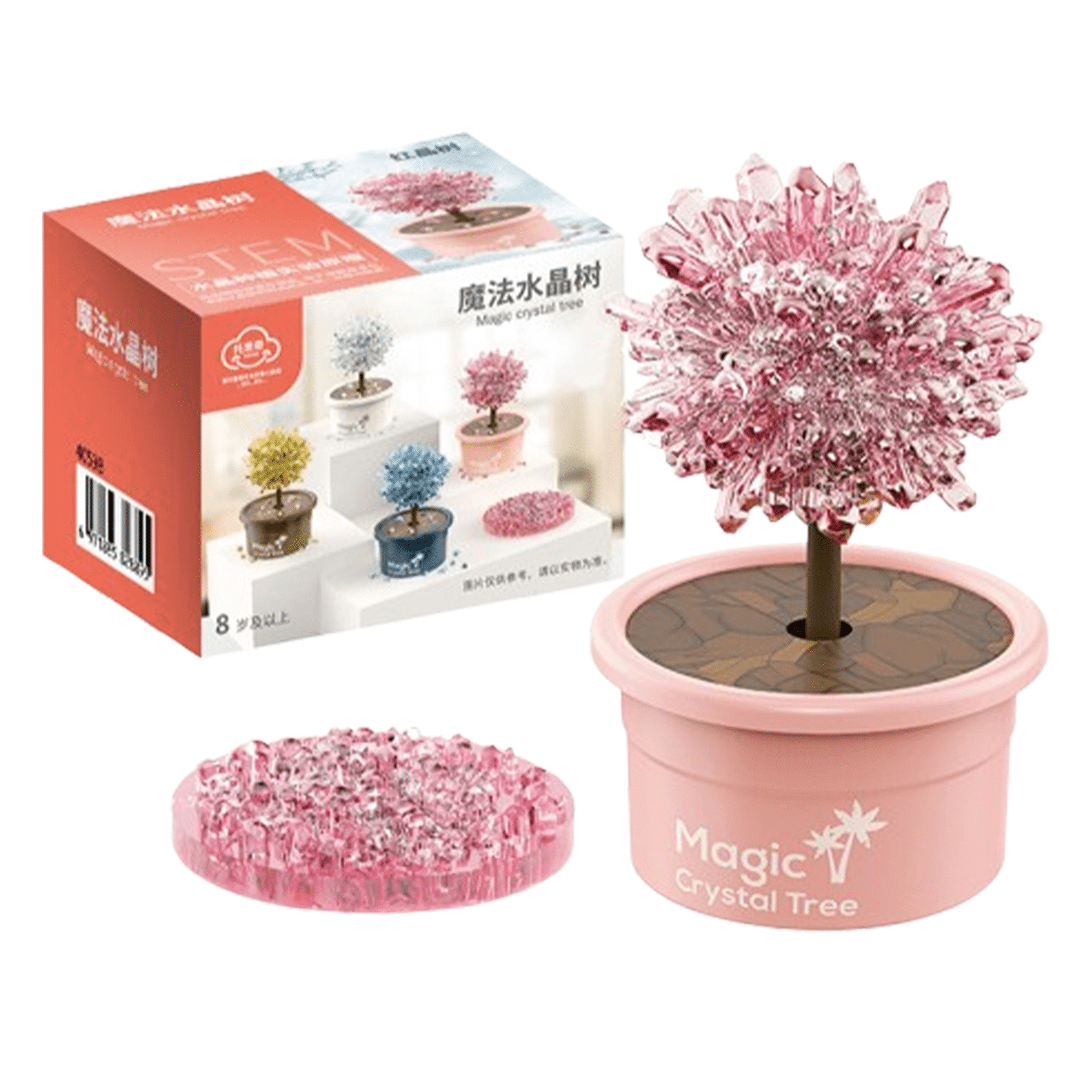 BESTSKY Science Kits for Kids Age 8-12,Fun & Educational DIY Crystal ...