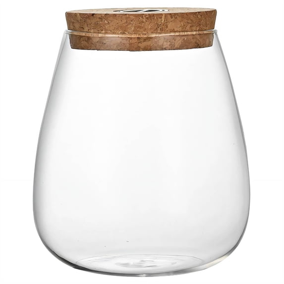 BESTSKY Terrarium Kit,High Hardness Plant Terrarium,Desktop Decoration ...