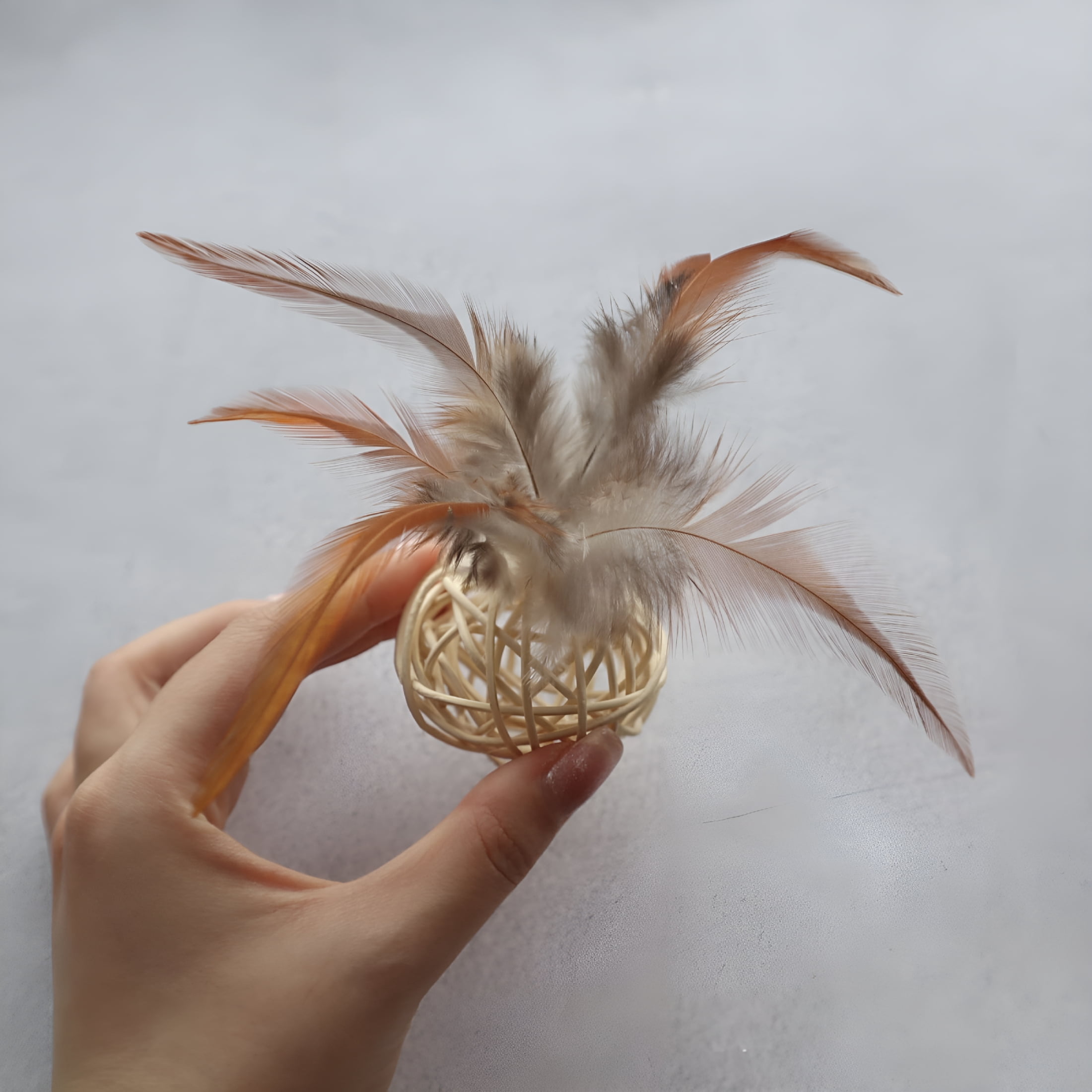 BESTSKY Toy Ball with Natural Feather, Interactive Chew Toys for Kitten ...