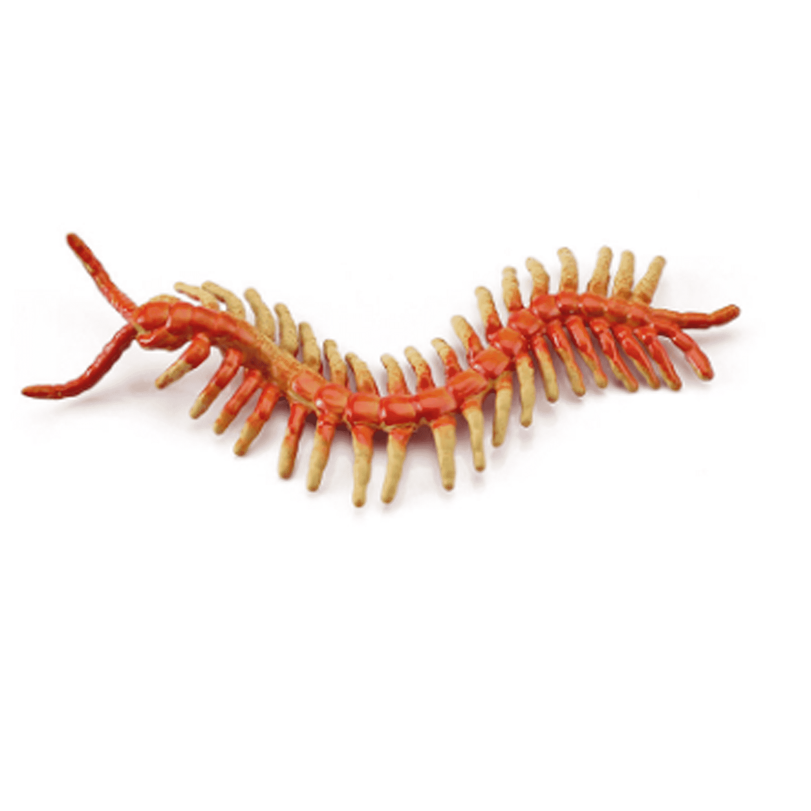 BESTSKY Toys for Ages 5-7,Cognitive Ability Farm Animals,Hands-On ...