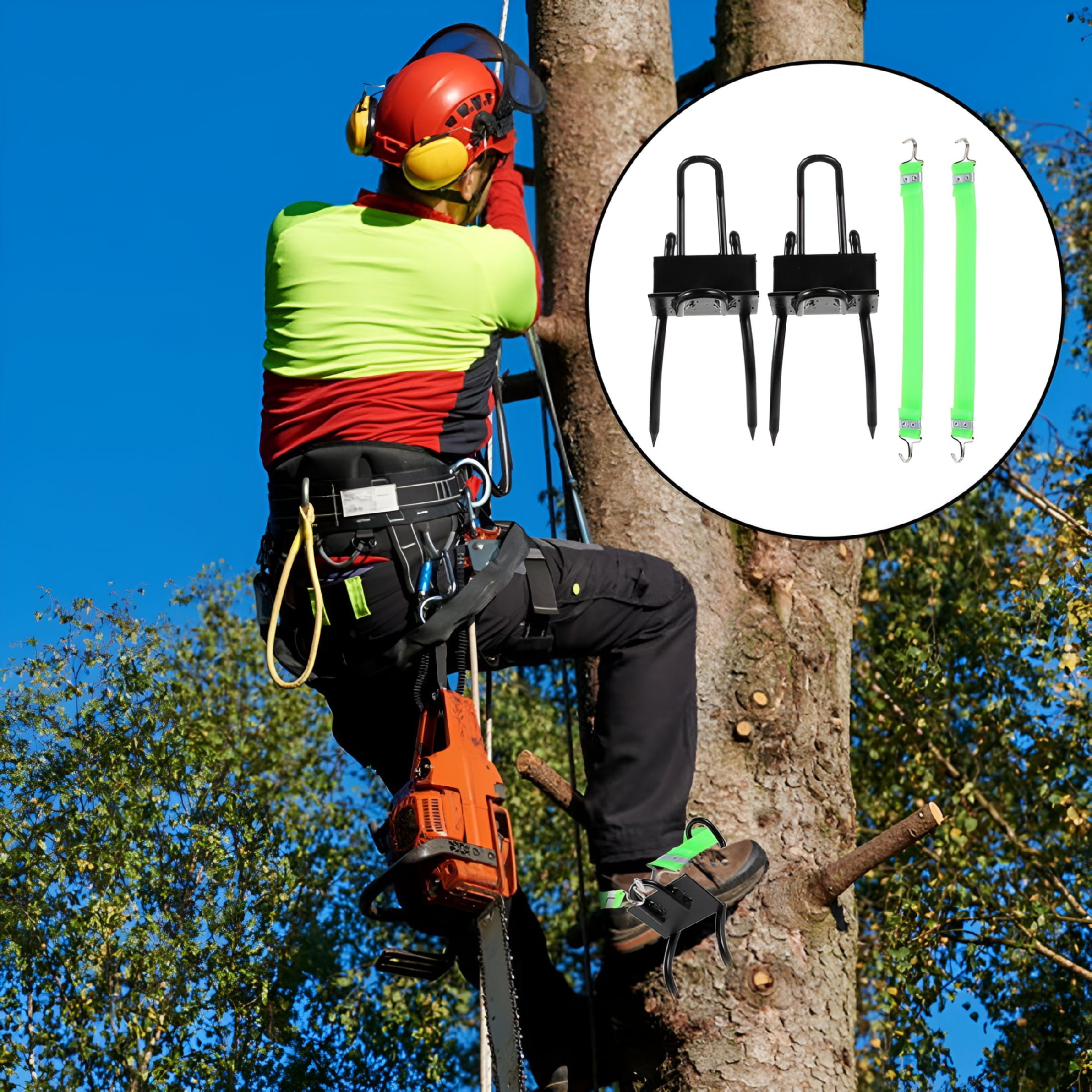 BESTSKY Tree Climbing Spikes Shoes with Stretch Straps for Pole ...