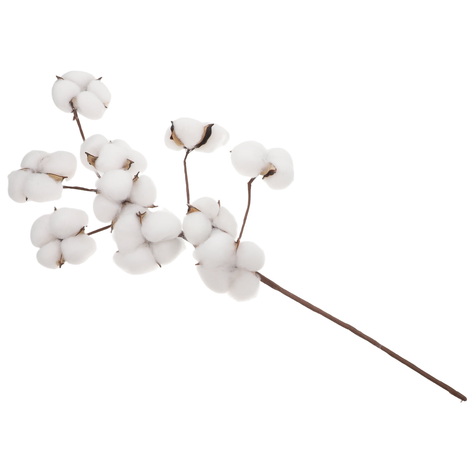 BESTYASH 10 White Dried Cotton Picks for Vase Filler and Farmhouse ...