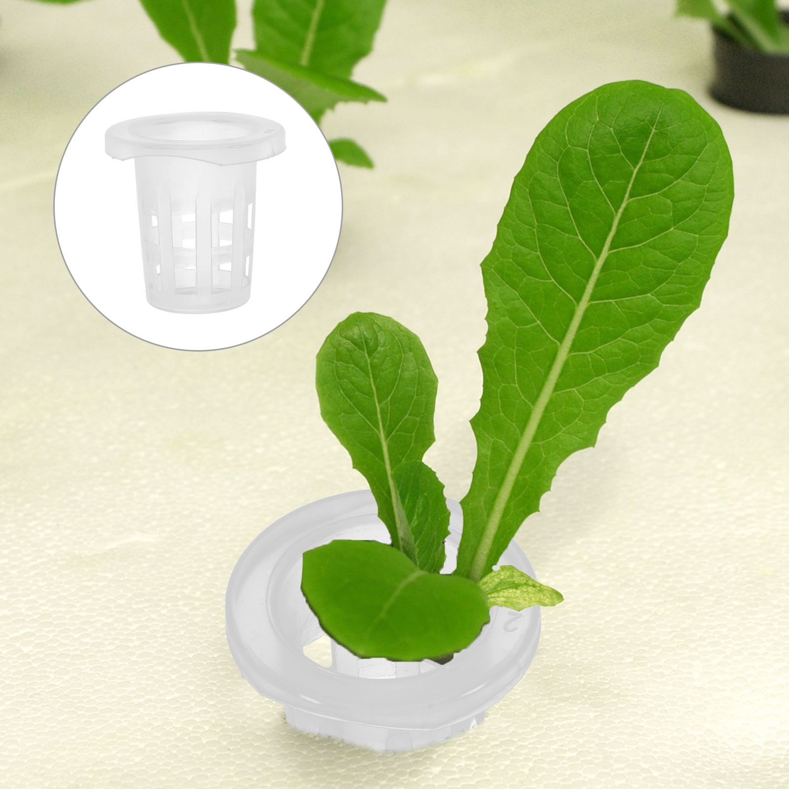 BESTYASH 100Pcs Plastic Hydroponic Basket Pots Transparent Net Cups for ...