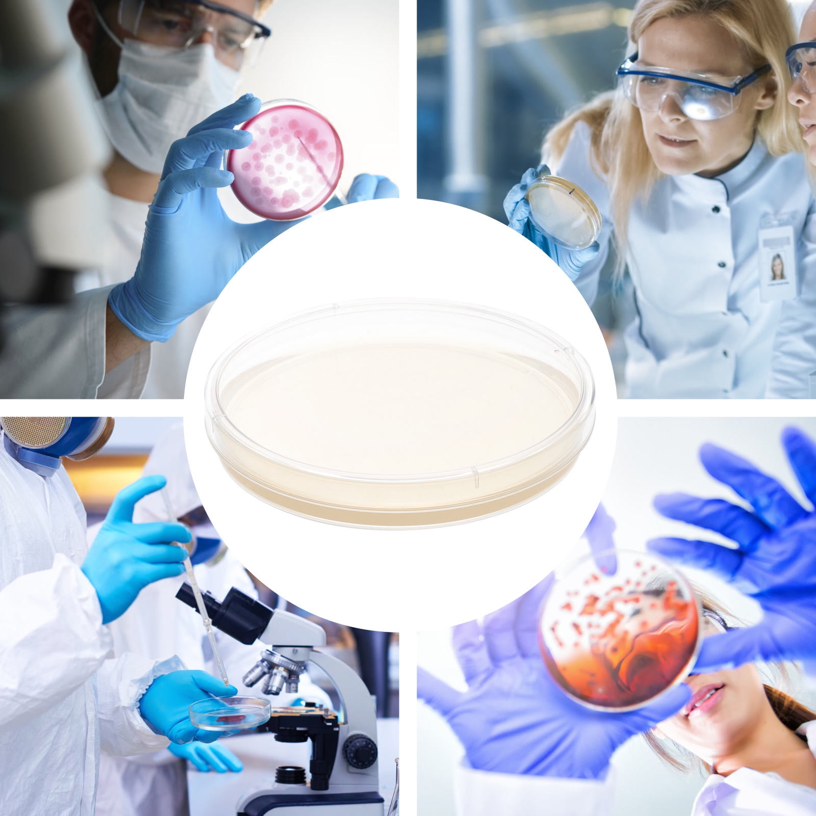 BESTYASH 10Pcs Labs Agar Plates Pre Poured for Culture Storage and ...