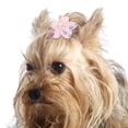 BESTYASH 10pcs Dog Rubber Bands Cute Pet Accessory Elastic Rope for Pet ...
