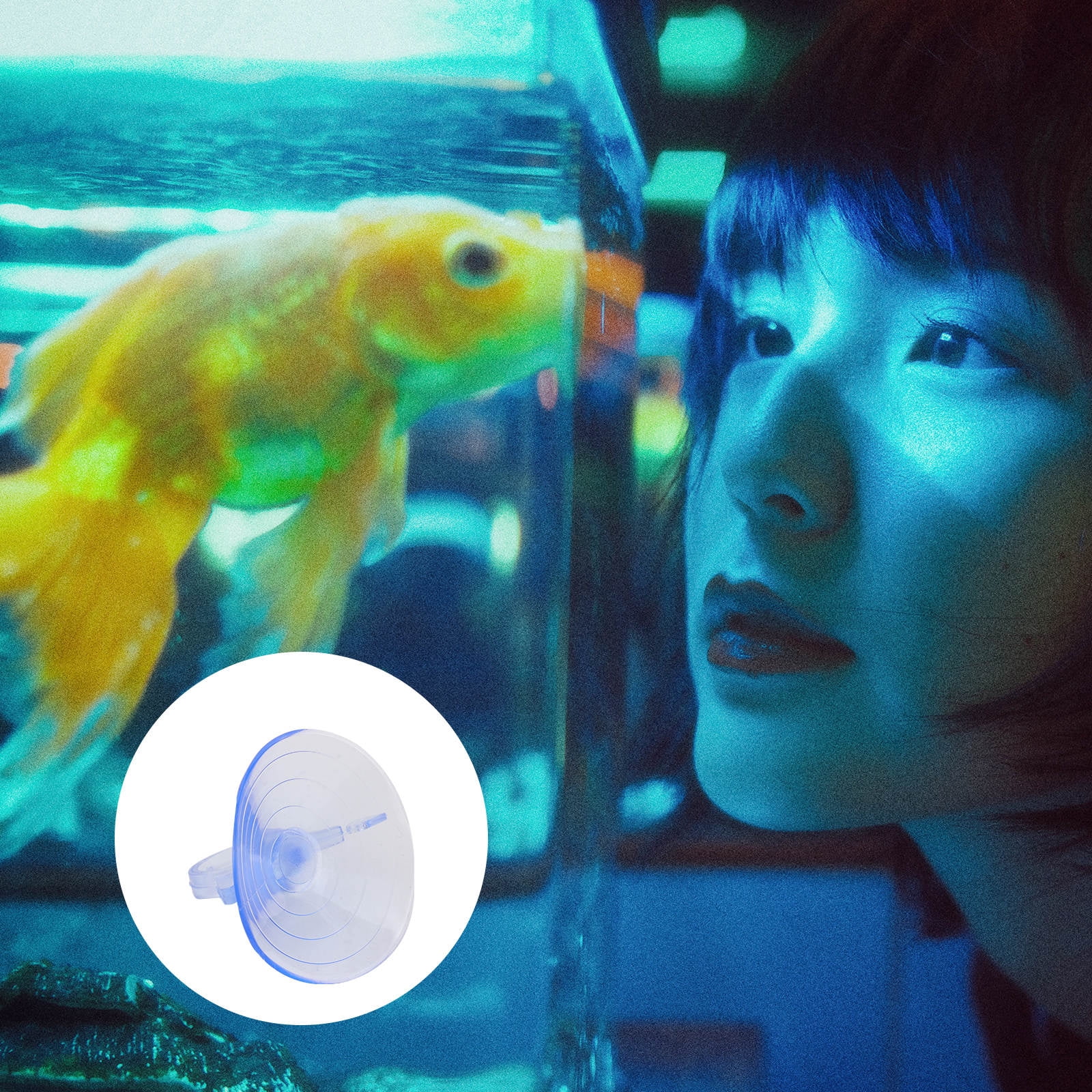 BESTYASH 12Pcs PVC Fish Tank Suction Cup with Pull Ring Vacuum Glass ...