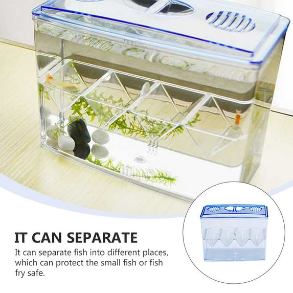 BESTYASH 1PC Floating Fish Isolation Box Sturdy and Practical Plastic ...