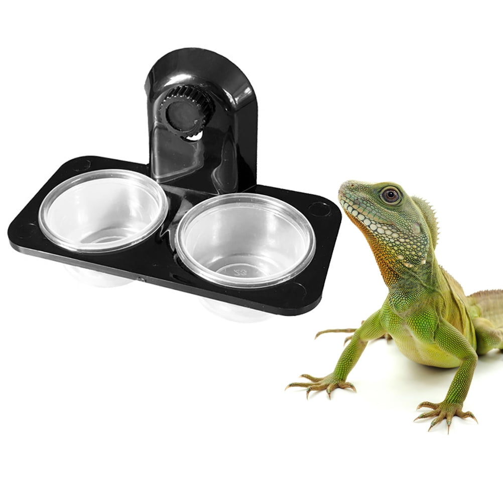 BESTYASH 1Pc Durable Black Glass Pet Reptile Feeder Bowl Perfect for ...
