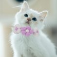BESTYASH 1Pc Pet Collar Cute White Knitted Flower Collar Adjustable for ...