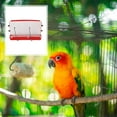 BESTYASH 1Pc Quail Feeder Plastic Automatic Food Container with Ladder ...