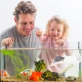 BESTYASH 1Pc Tortoise Terrace White Plastic Reptile Dock for Climbing ...