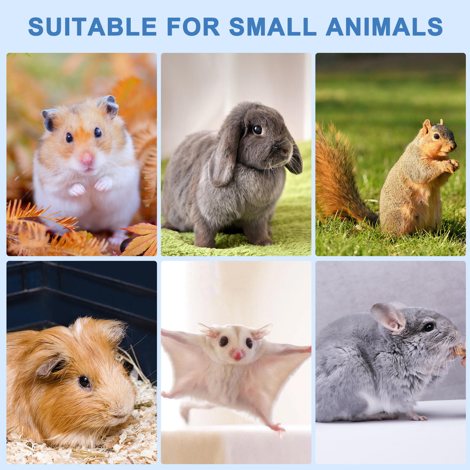 BESTYASH 2 Pcs Hamster Molars Stones Toys White Chew Toys for Small ...