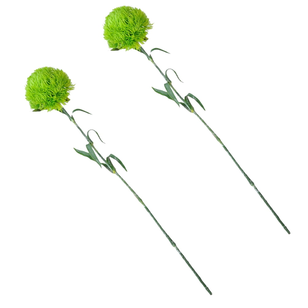 BESTYASH 2Pcs Small Faux Plants Indoor Light Green Artificial Greenery ...