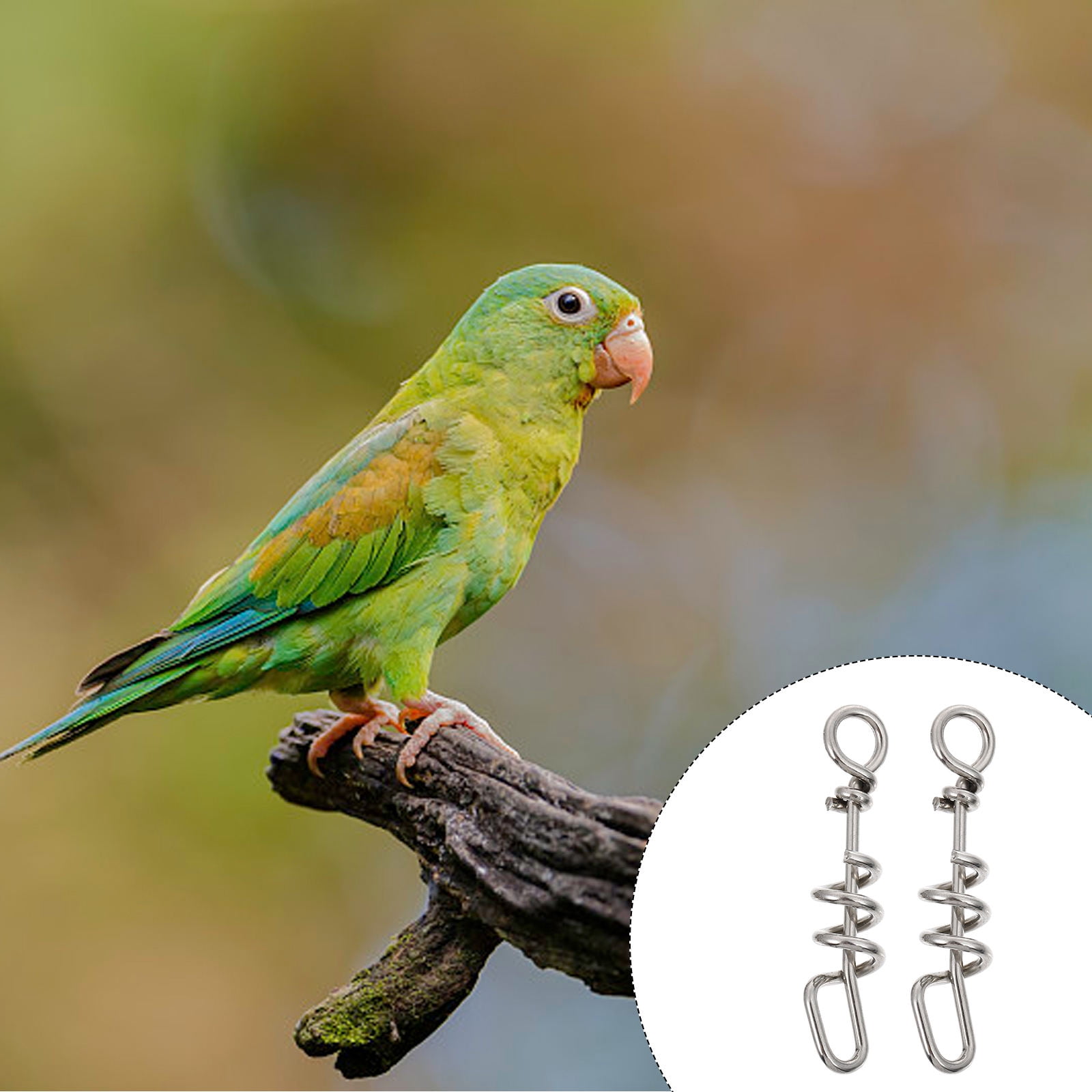 BESTYASH 2Pcs Stainless Steel Parrot Foot Rings Plated Silver for ...