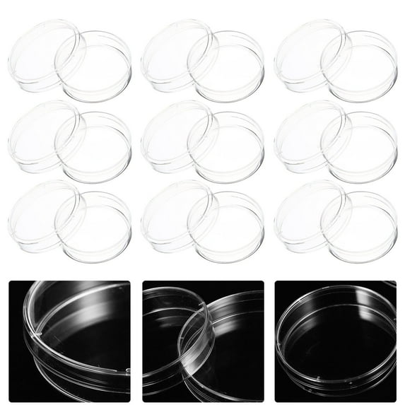 BESTYASH 30pcs Petri Dish for Microscope with Transparent Plastic Lid ...