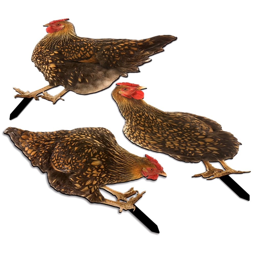 BESTYASH 3Pcs Garden Chicken Stake Art Acrylic Stakes for Vibrant Yard ...