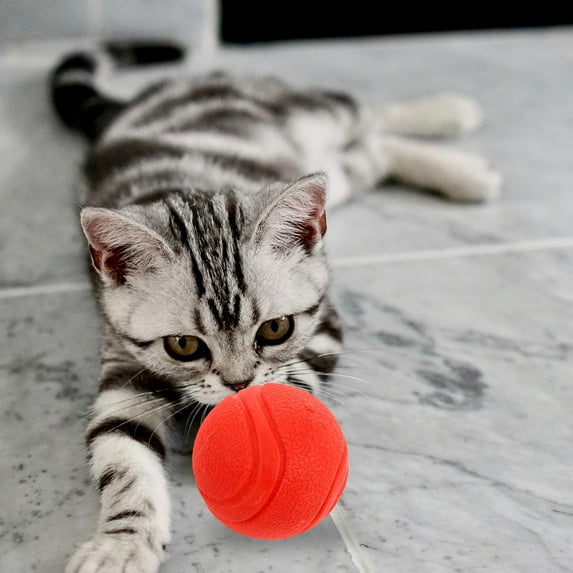 BESTYASH 4Pcs Durable Red Rubber Pet Balls for Dogs and Cats with Chew ...