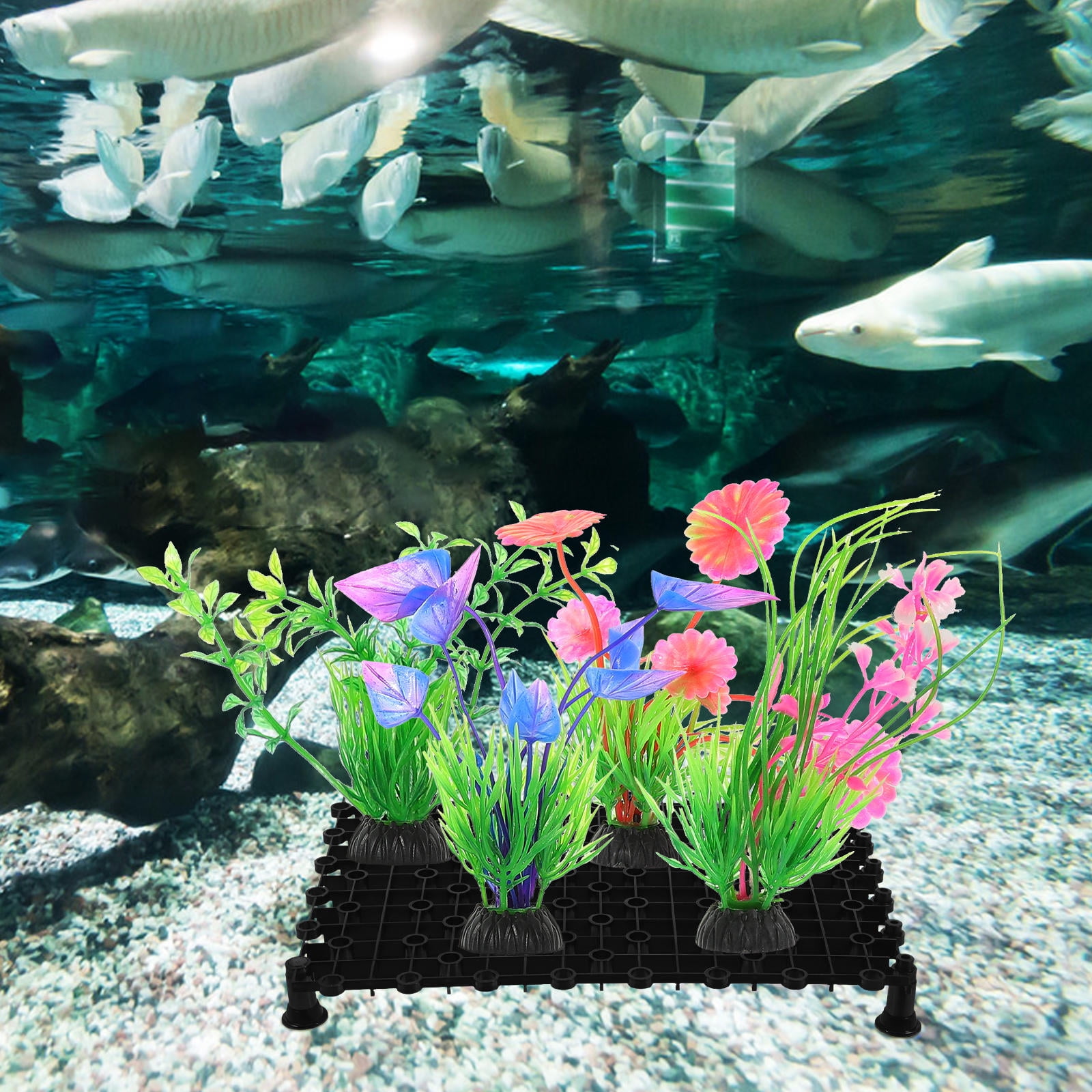 BESTYASH 5Pcs Fish Tank Bottom Filter Plate PVC Material Black Durable ...
