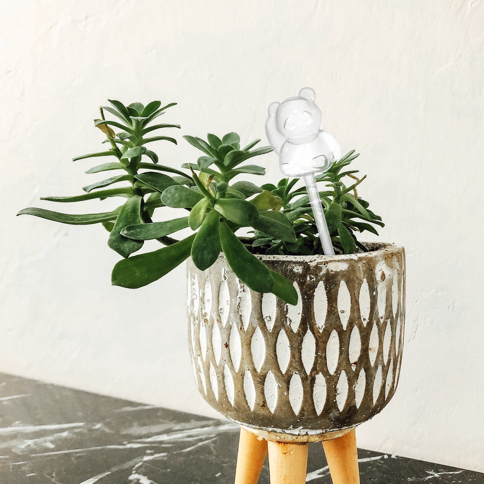 BESTYASH 5Pcs Plastic Self Watering Globes Automatic Flower Watering ...