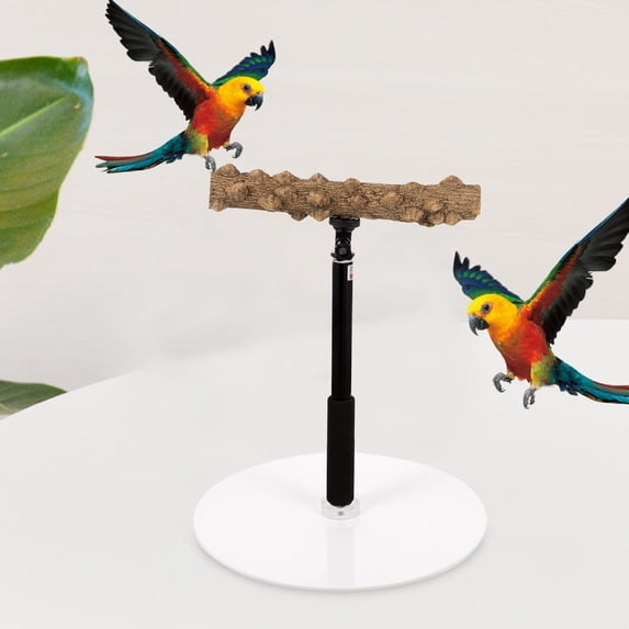 BESTYASH Adjustable Bird Perch Stand Metal Bird Rest Shelf Multi 1 Set ...