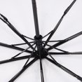 BESTYASH Portable Automatic Transparent Umbrella, Lightweight Folding ...