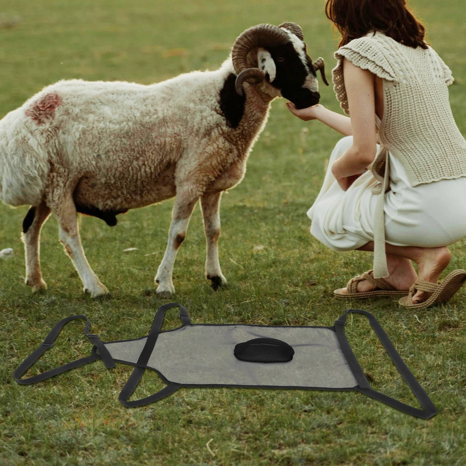 BESTYASH Black Adjustable Goat Protective Apron for Breeding Control ...