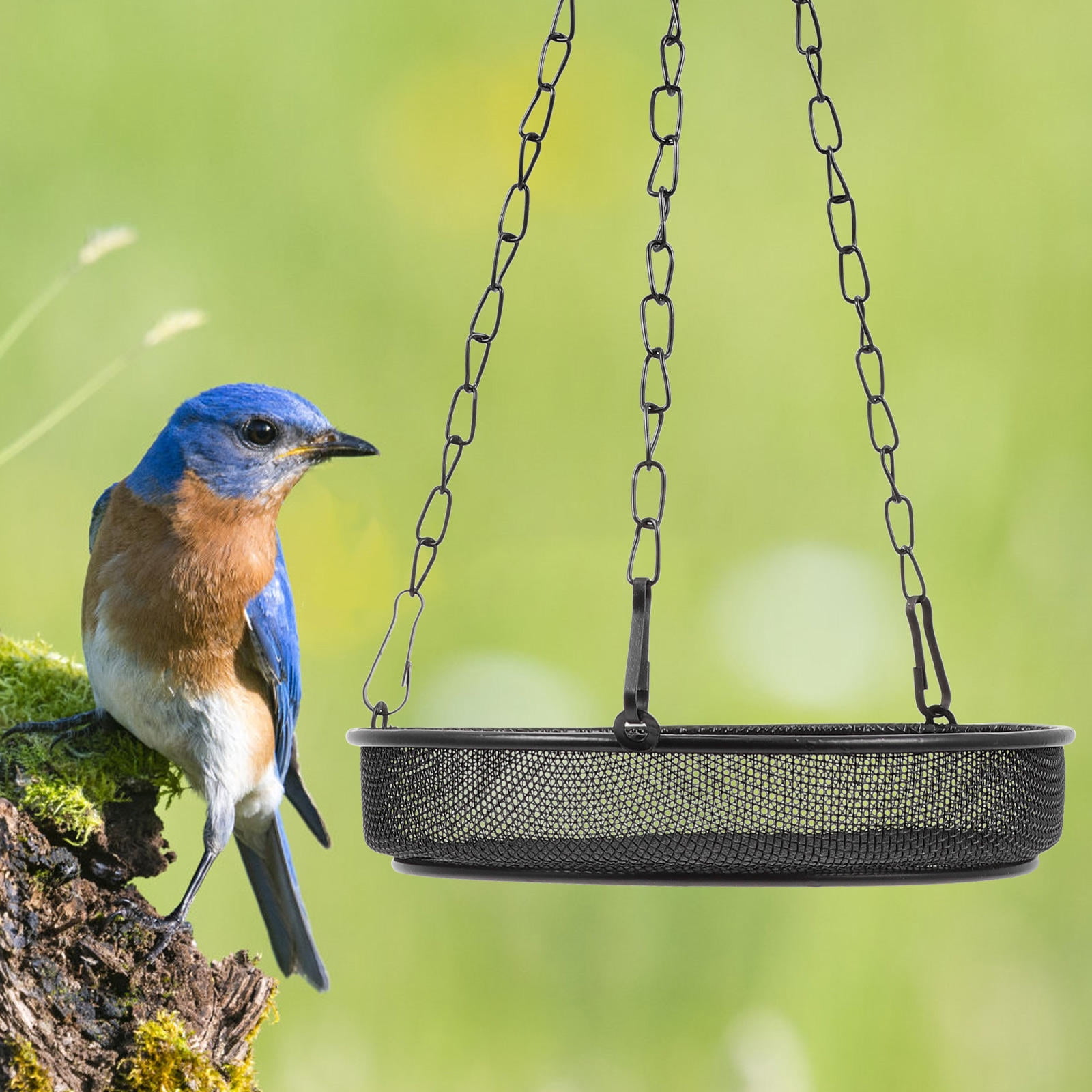BESTYASH Black Steel Hanging Bird Feeder for Outdoor Garden with Mesh ...