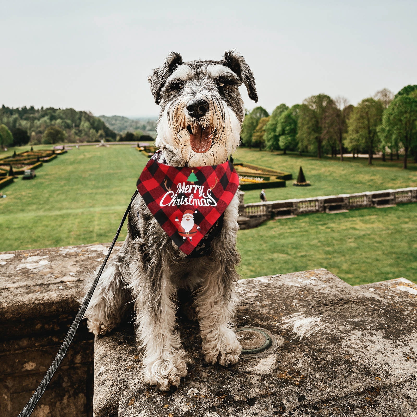 BESTYASH Christmas Pet Bandana Red Adjustable Cotton Polyester Dog ...