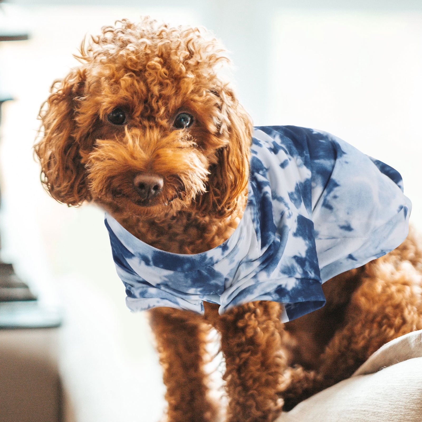 BESTYASH Durable Breathable Sky Blue Pet Shirt Comfortable Dog Clothes ...