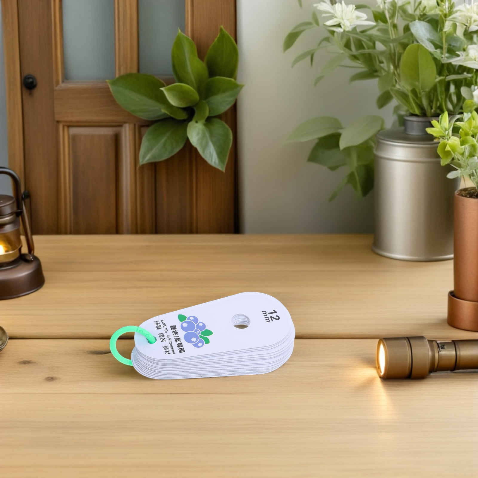 BESTYASH Accurate Plastic Fruit Measuring Gauge for Blueberry Cherry ...