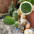 BESTYASH Lifelike Artificial Moss Decor Green Fake Turf for Micro ...