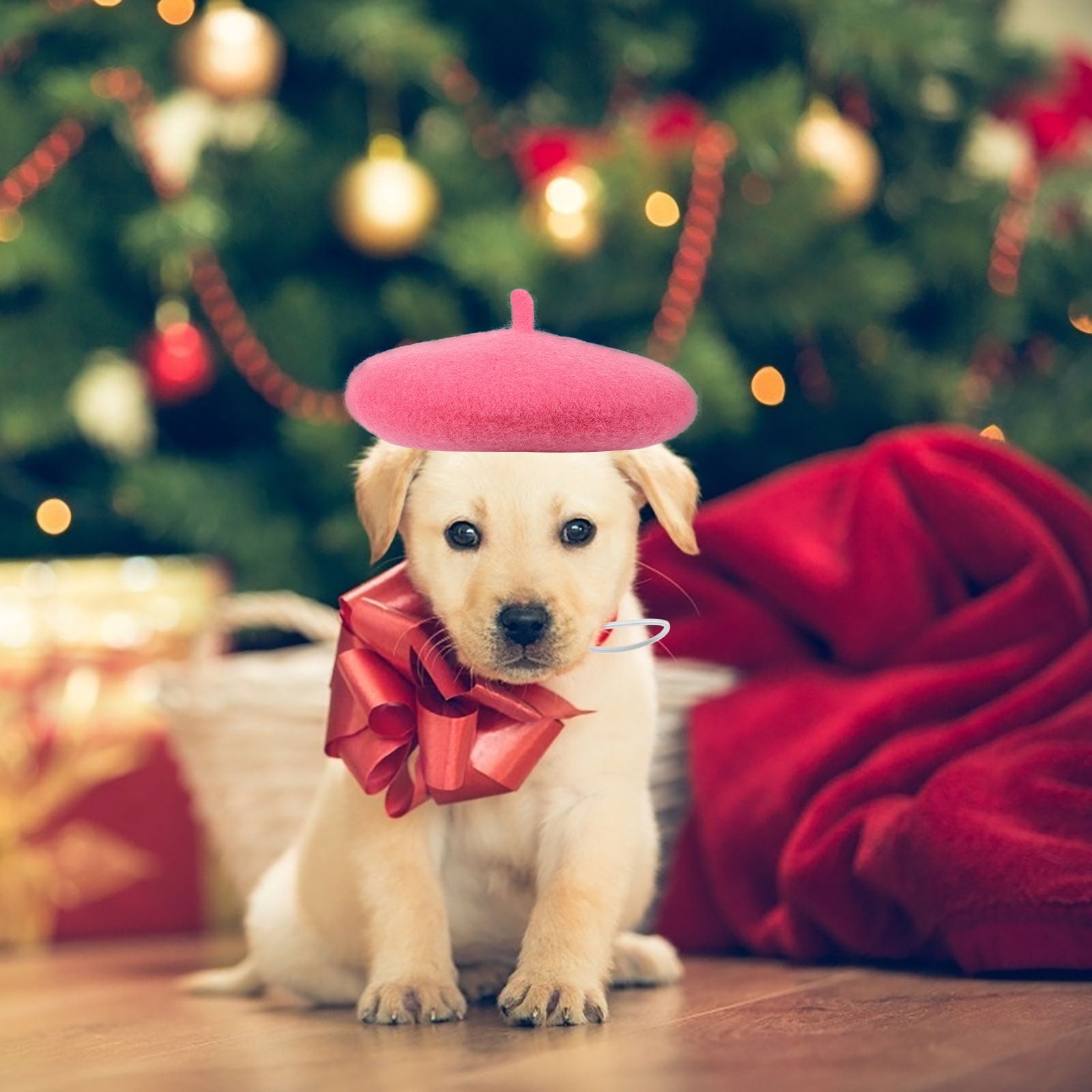 BESTYASH Pet Beret Hat Rosy Color Adjustable Elastic Band Comfortable ...